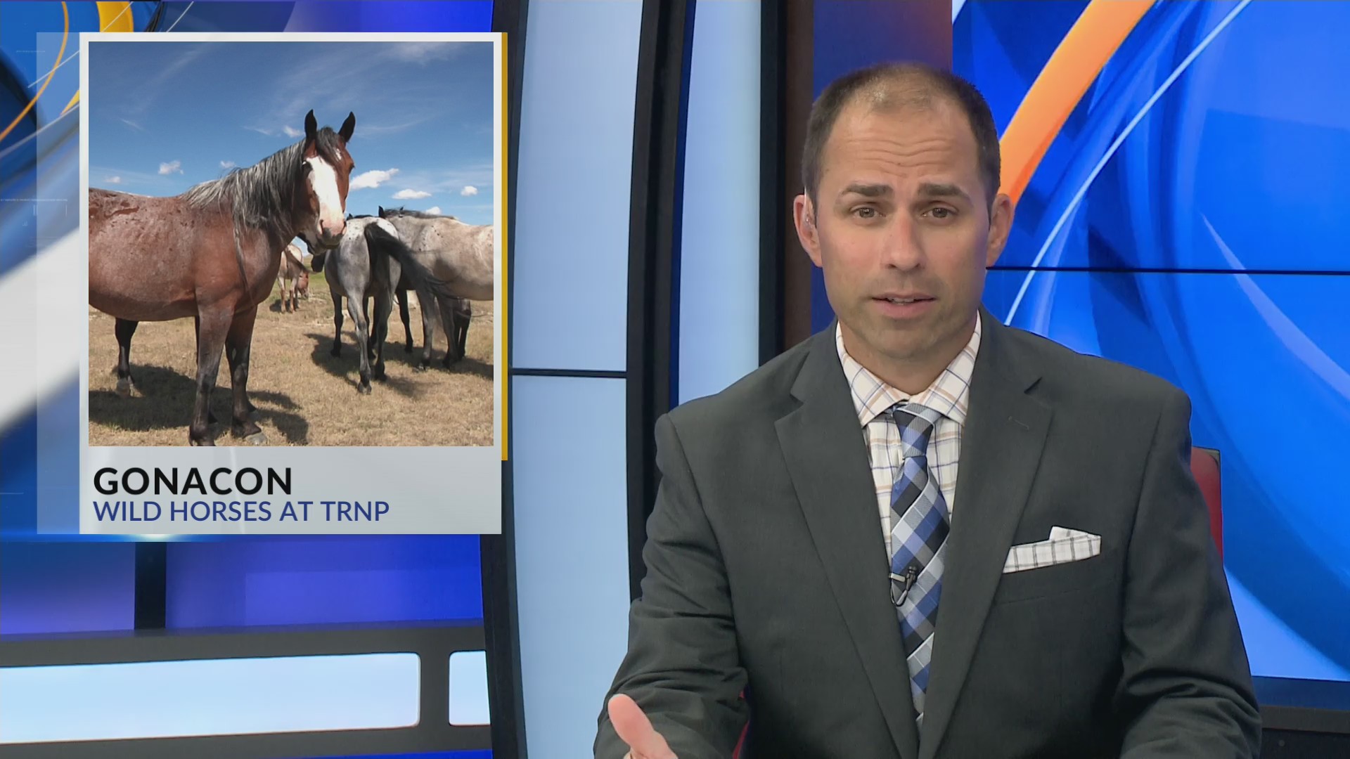 GonaCon & wild horses at TRNP – KX NEWS