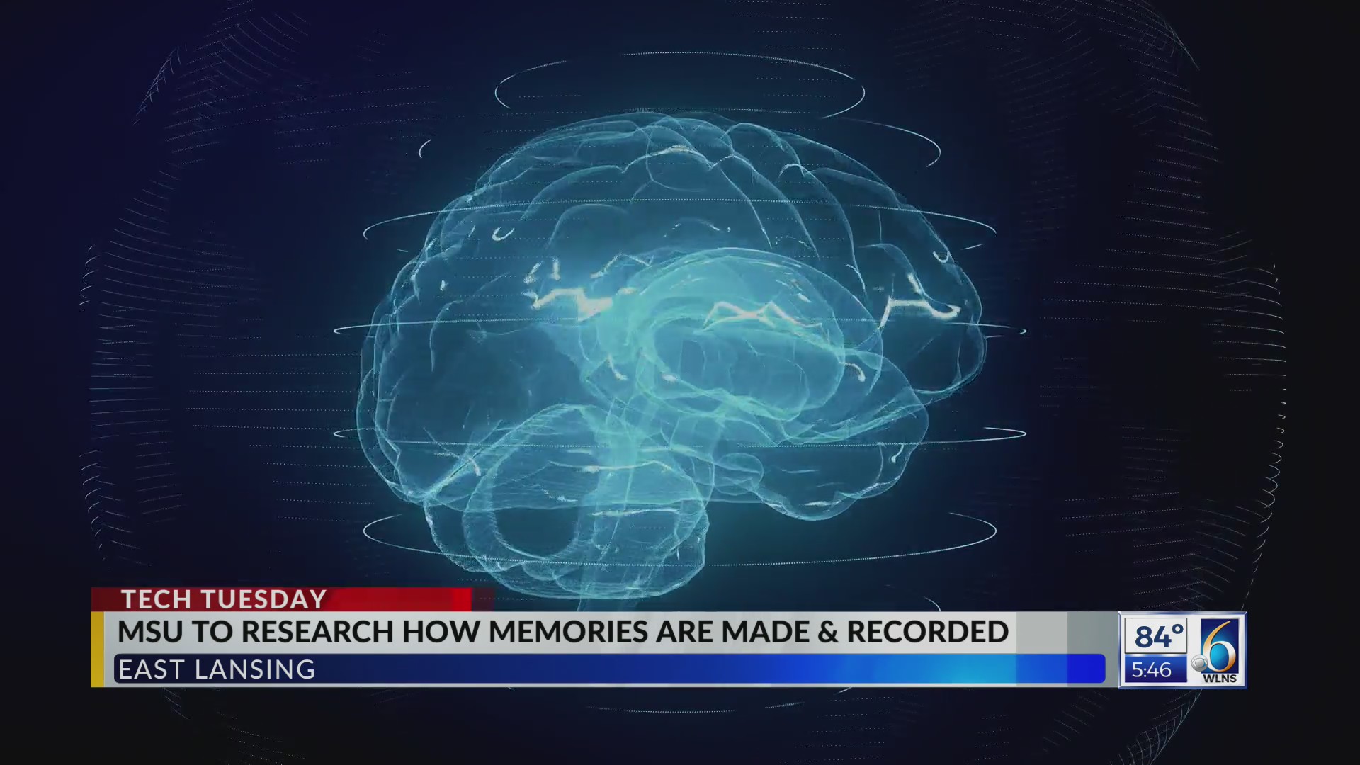 MSU develops brain imaging system to reveal how memories are made ...