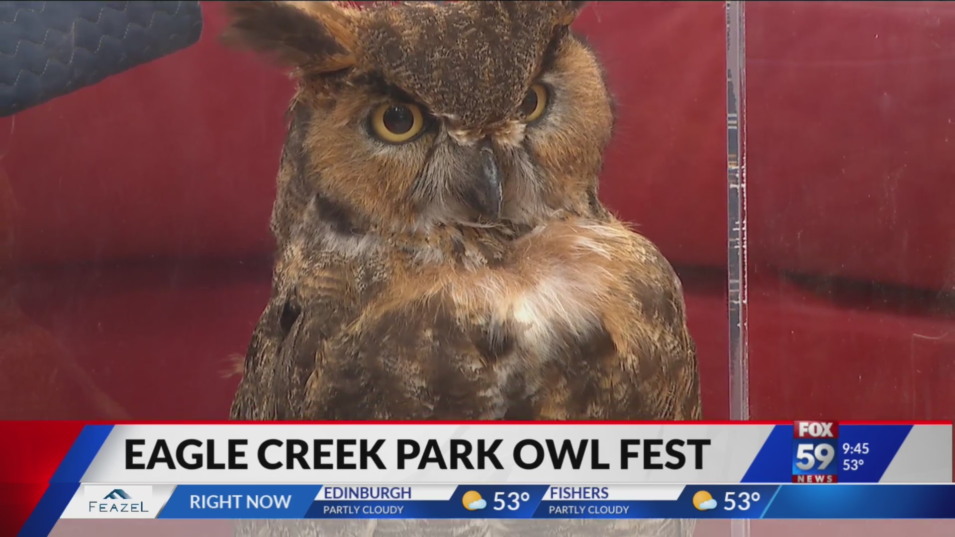7th Annual Eagle Creek Park Owl Fest – Fox 59