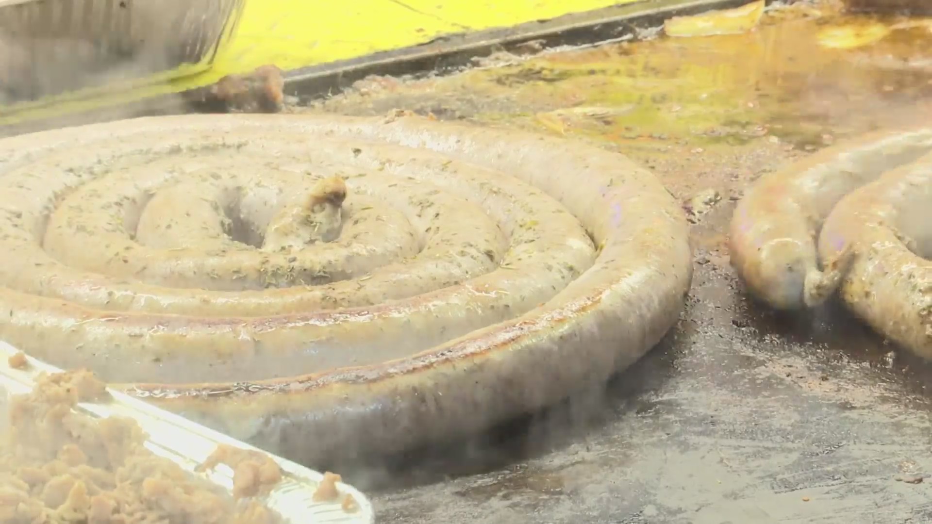 Pitt County fair kicks off in Greenville for it’s 103rd year – WNCT