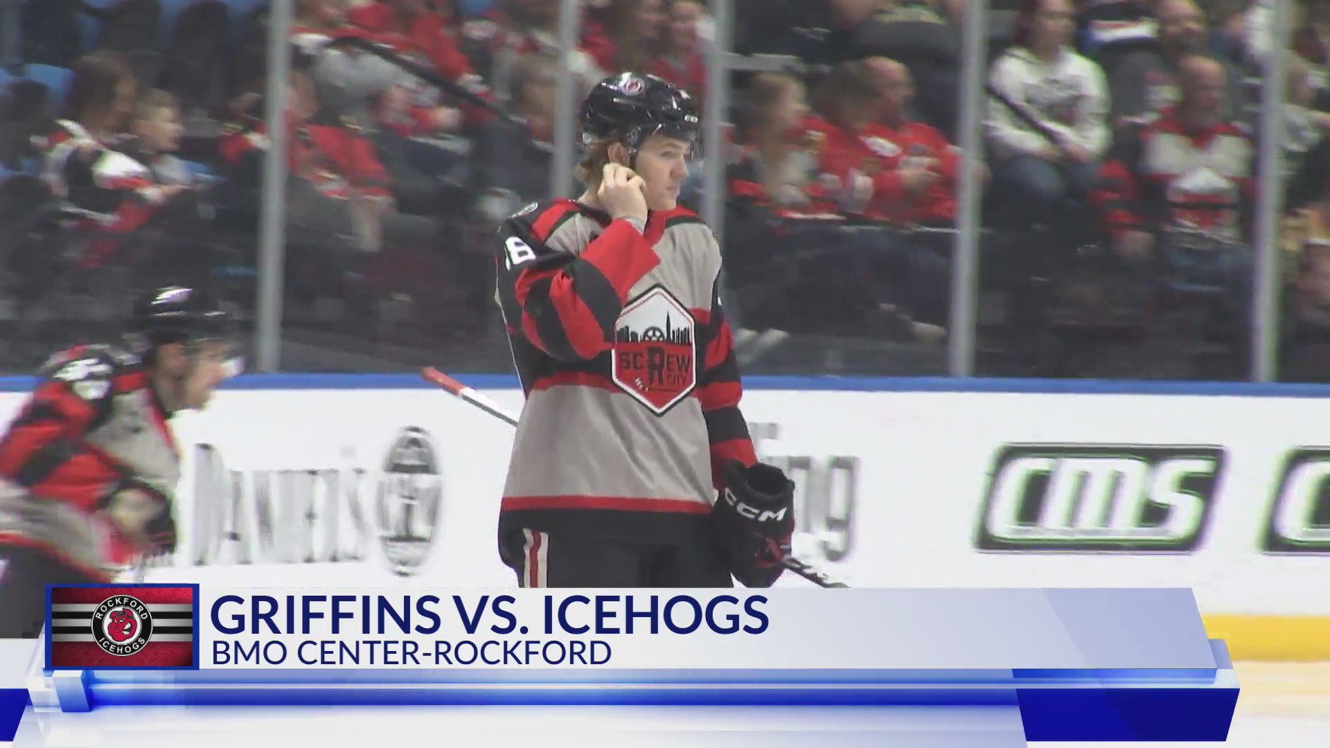 Rough month of December continues for the IceHogs with another loss to ...