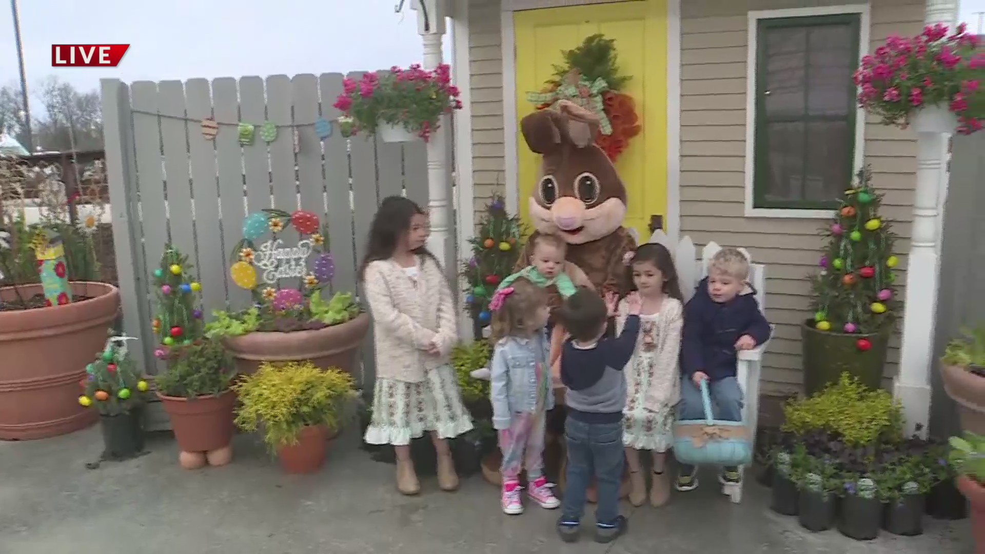 Easter activities return at Eckert’s Farm – FOX 2