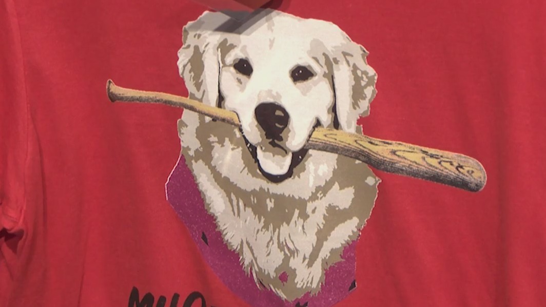 ‘Milo the Bat Dog’ remembered as charity-raising retriever for Red ...