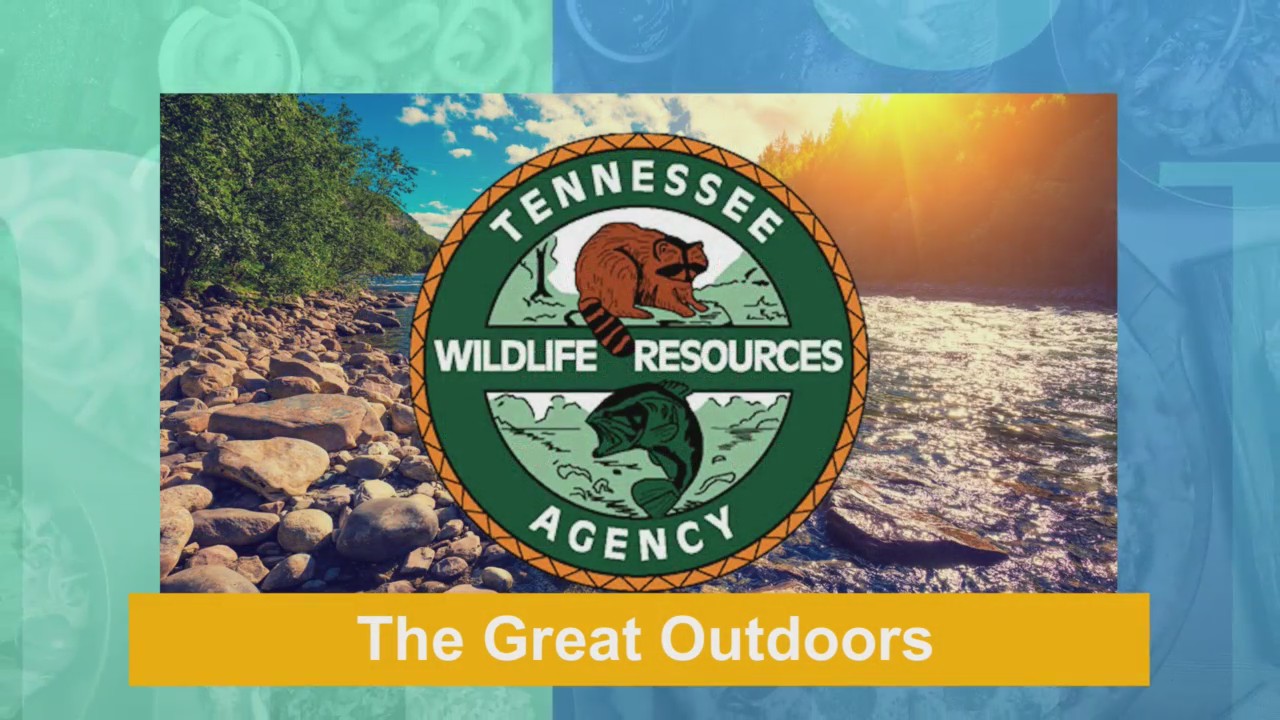 TWRA seeks public input on wildlife management zones – WJHL | Tri ...