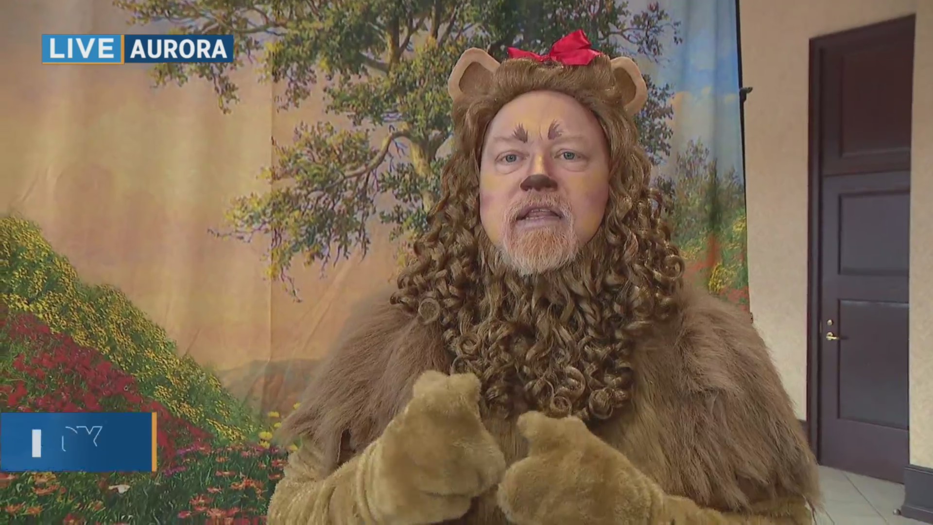 New Day Cleveland: Ohio Wizard of Oz Expo – Fox 8 Cleveland WJW