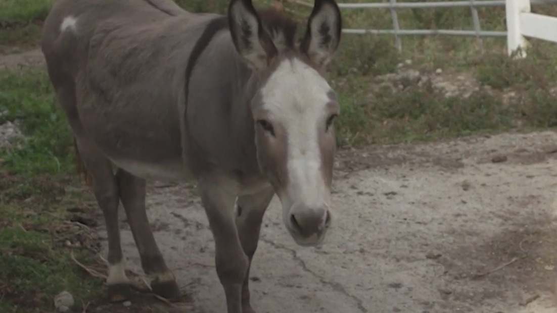 NewsNation to debut “Harvest” two-hour special celebrating farmers ...