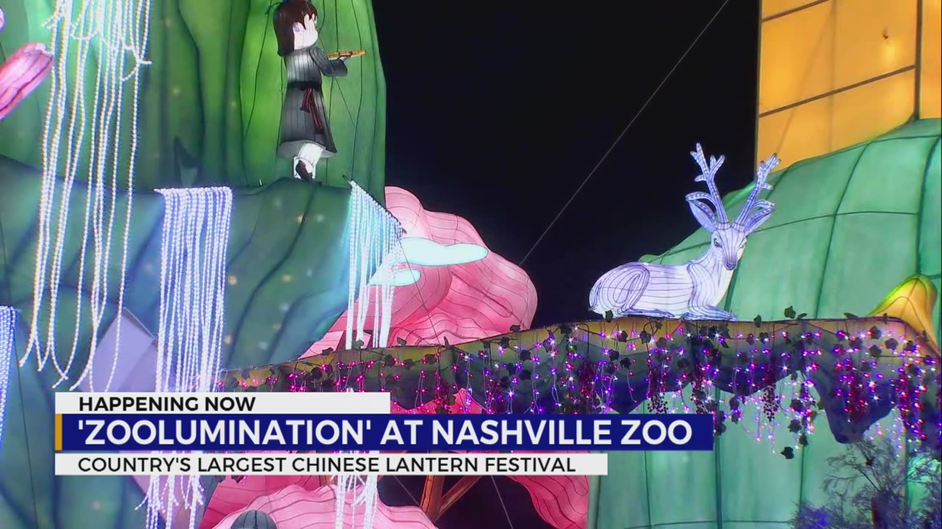 Zoolumination returns to Nashville Zoo – WKRN News 2