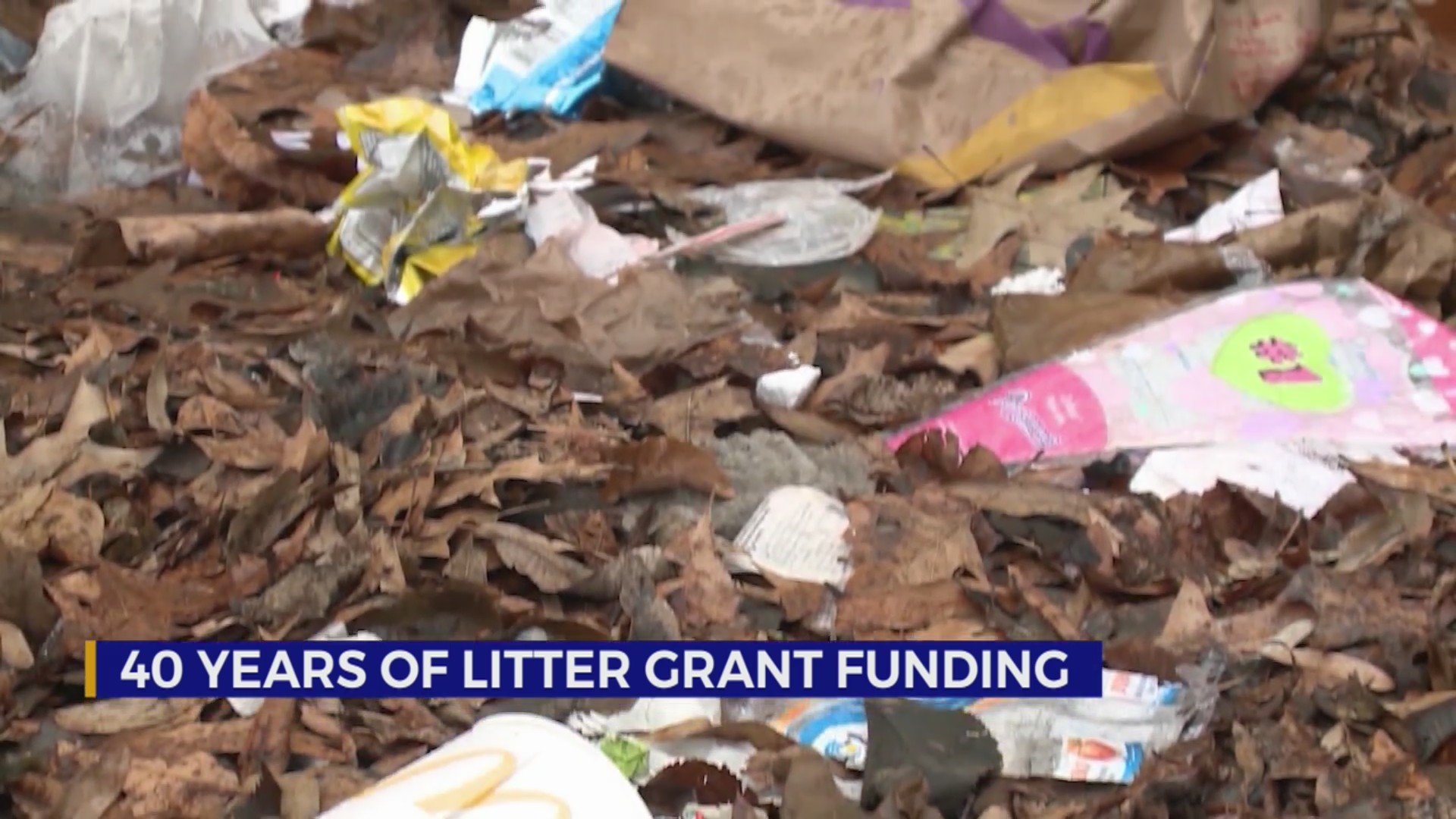 TDOT litter grant program celebrates 40 years and 400,000+ tons of ...