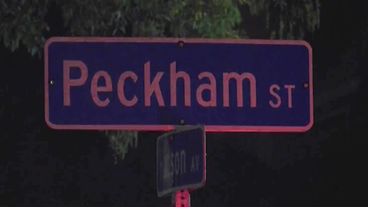 Suspect pleads guilty in fatal Peckham Street shooting – RochesterFirst