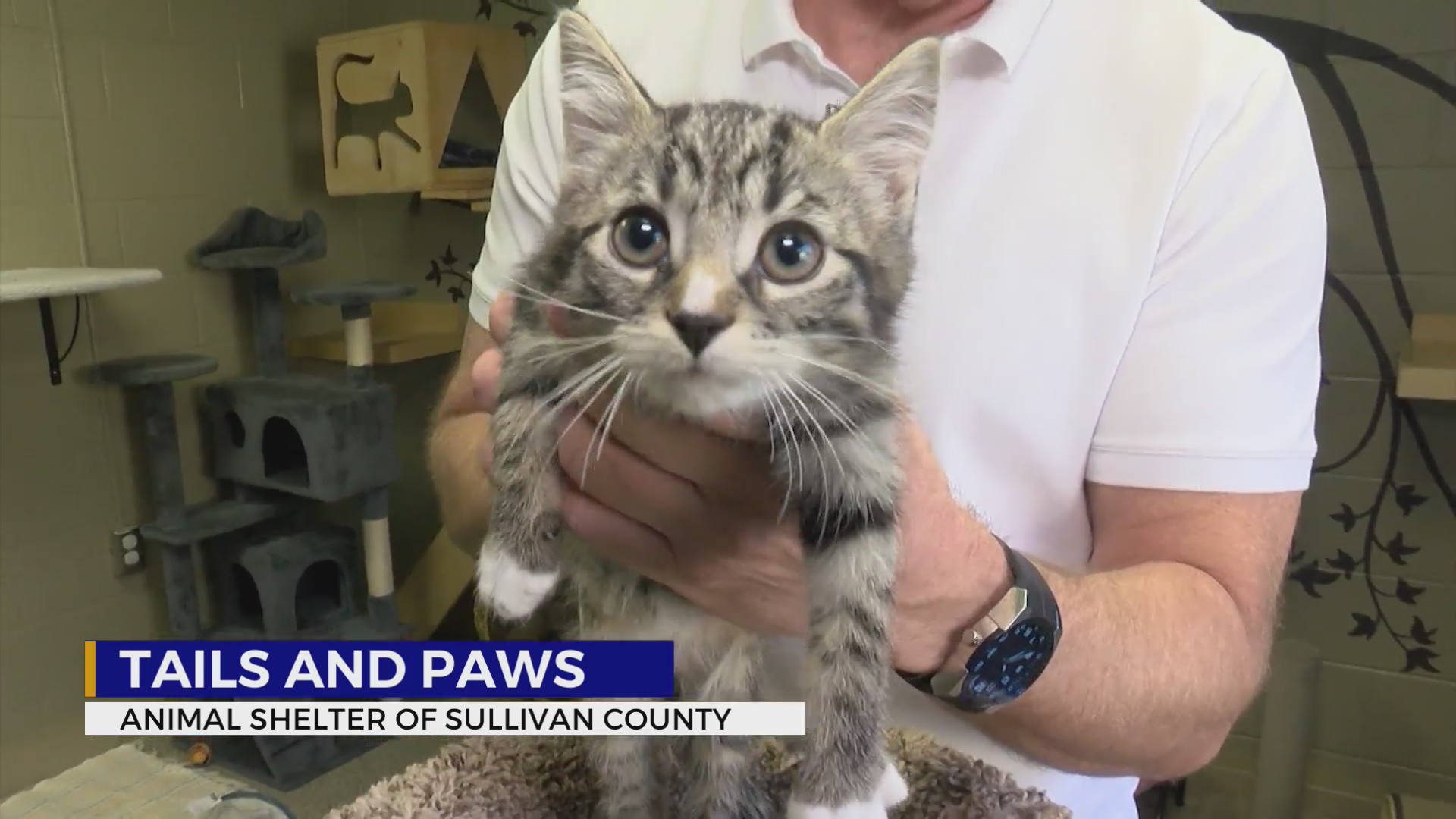 Tails and Paws for Friday, February 9, 2024 – WJHL | Tri-Cities News ...