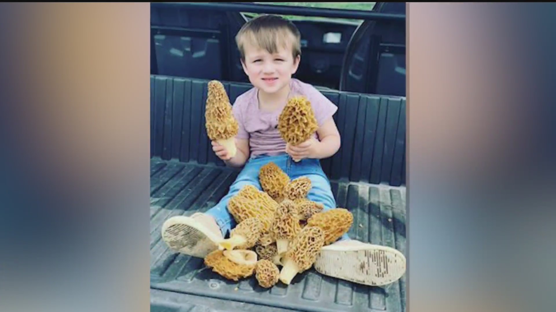 Fountain County family finds nearly foot-tall morels – Fox 59