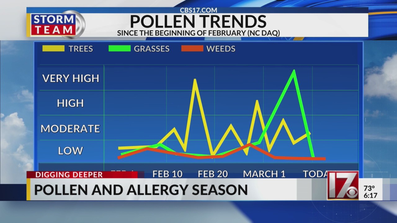 What is the pollen count in central North Carolina? – CBS17.com