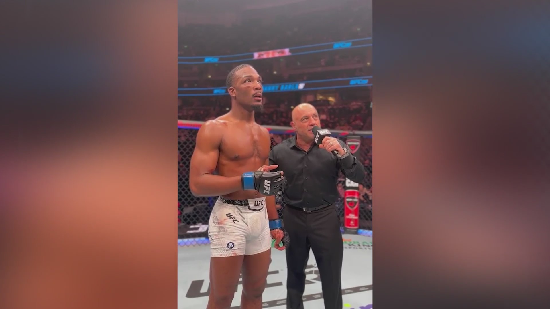 Memphis native Danny Barlow wins UFC debut despite injury – WREG.com