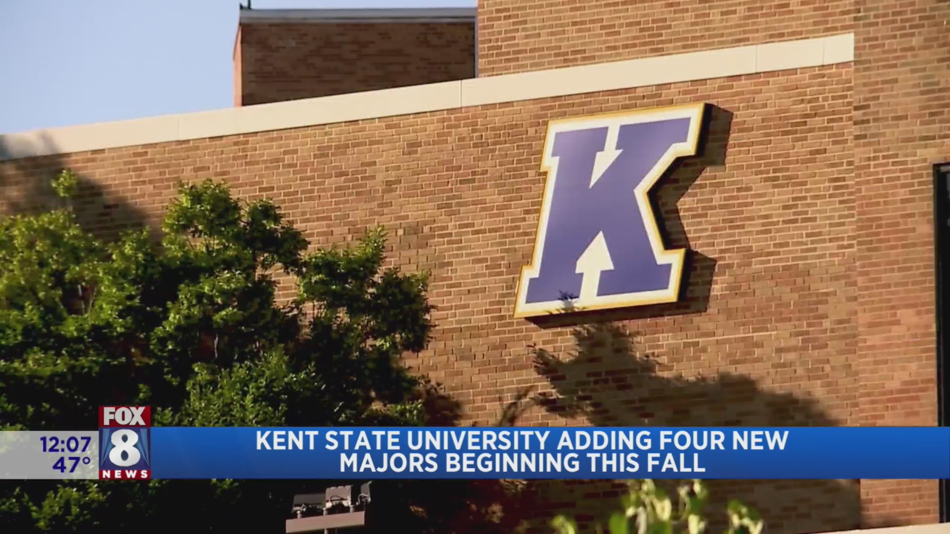 Kent State University adding new majors – Fox 8 Cleveland WJW