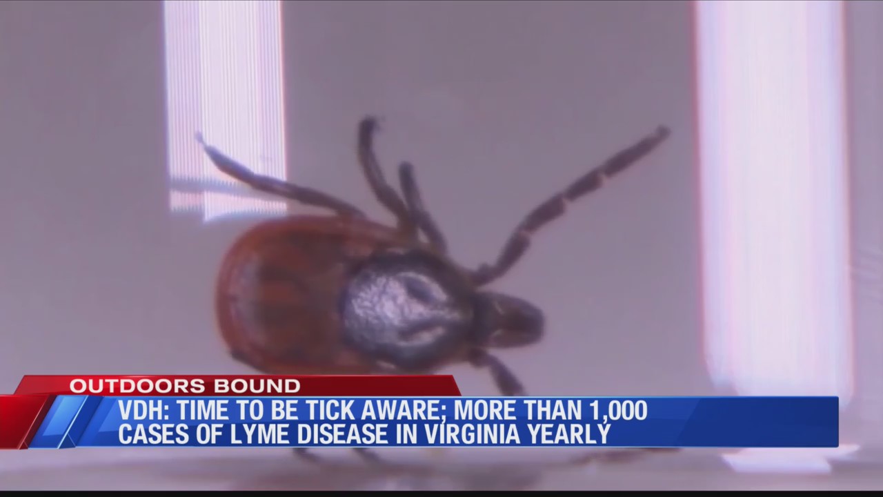 How to protect yourself during the height of tick season in Virginia ...