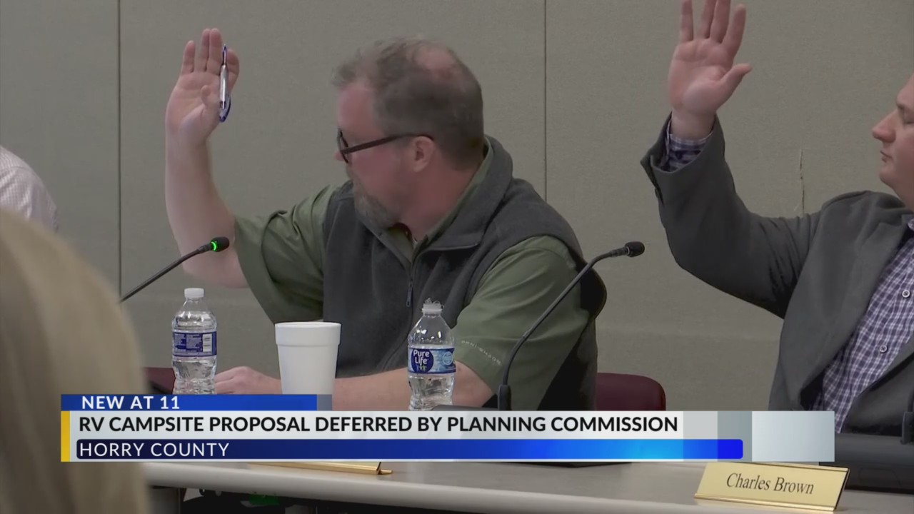 Horry County officials defer wetlands development in Longs area – WBTW