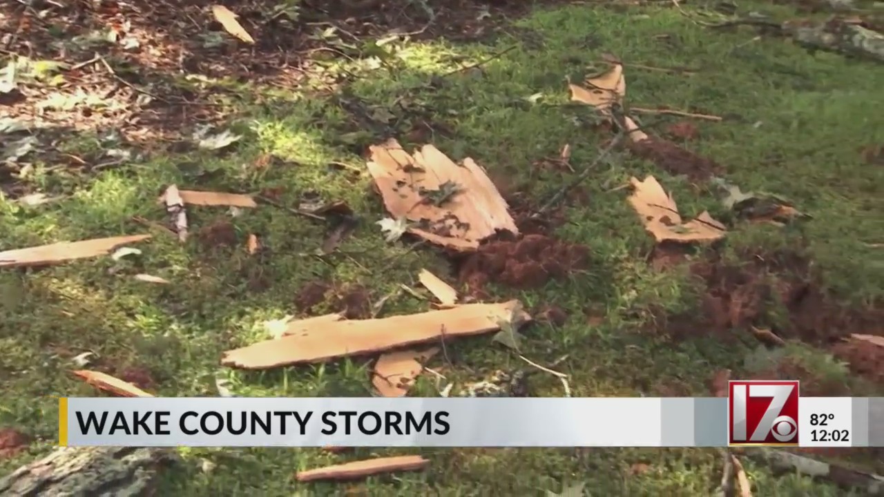 Neighbors describe massive Raleigh storm that damaged tree – CBS17.com