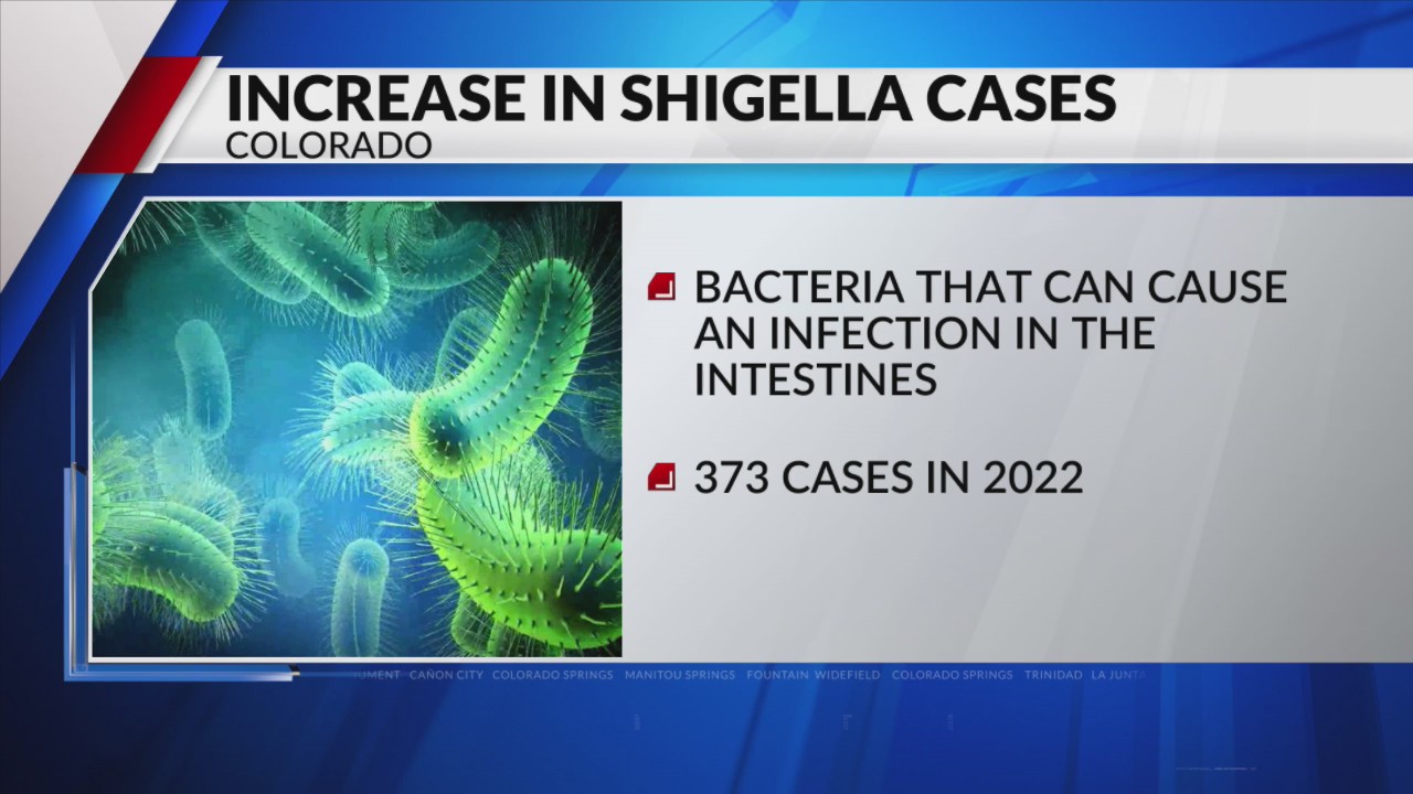 Increase in Shigella cases – FOX21 News Colorado