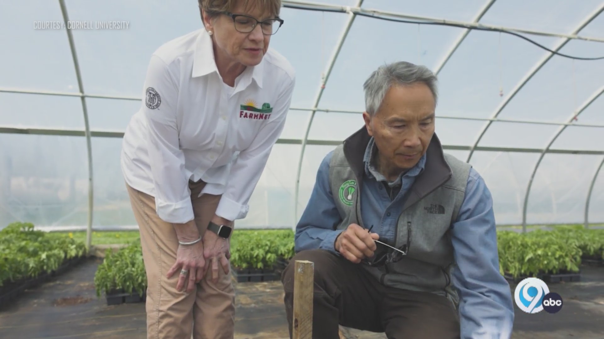 NY FarmNet: Cornell University Program Helping Farmers – WSYR