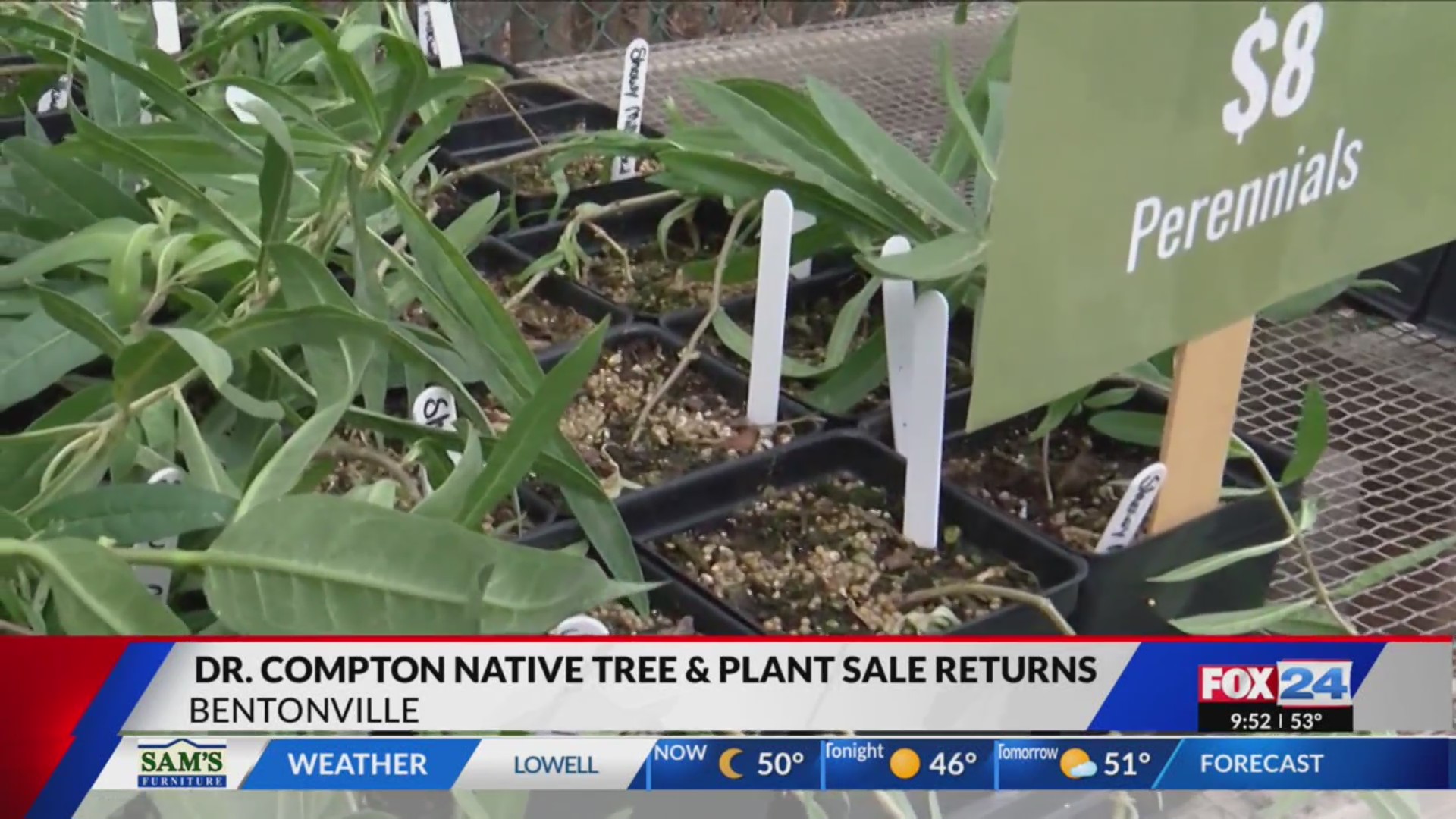 Dr. Compton Native Tree and Plant sale returns – KNWA FOX24