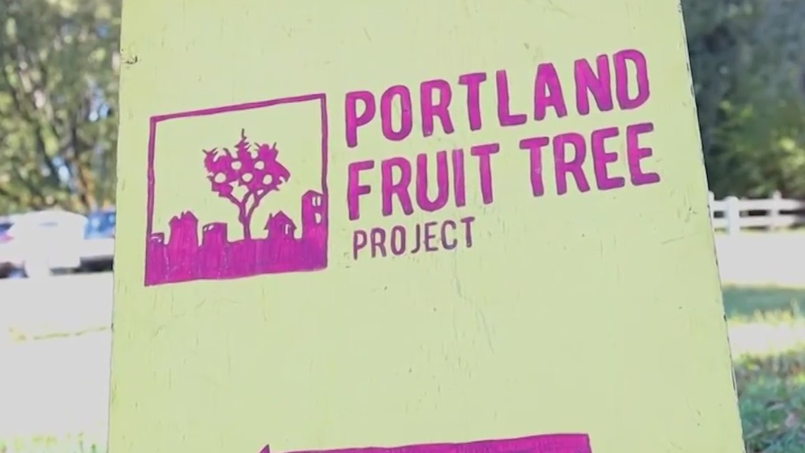 Portland Fruit Tree Project offers winter tree care workshops – KOIN.com
