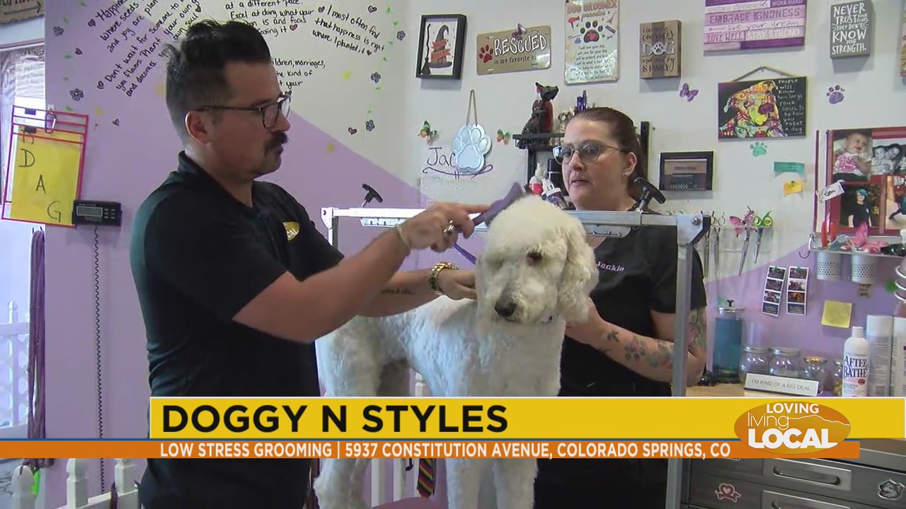 Doggy N Styles talks importance of dog grooming – FOX21 News Colorado