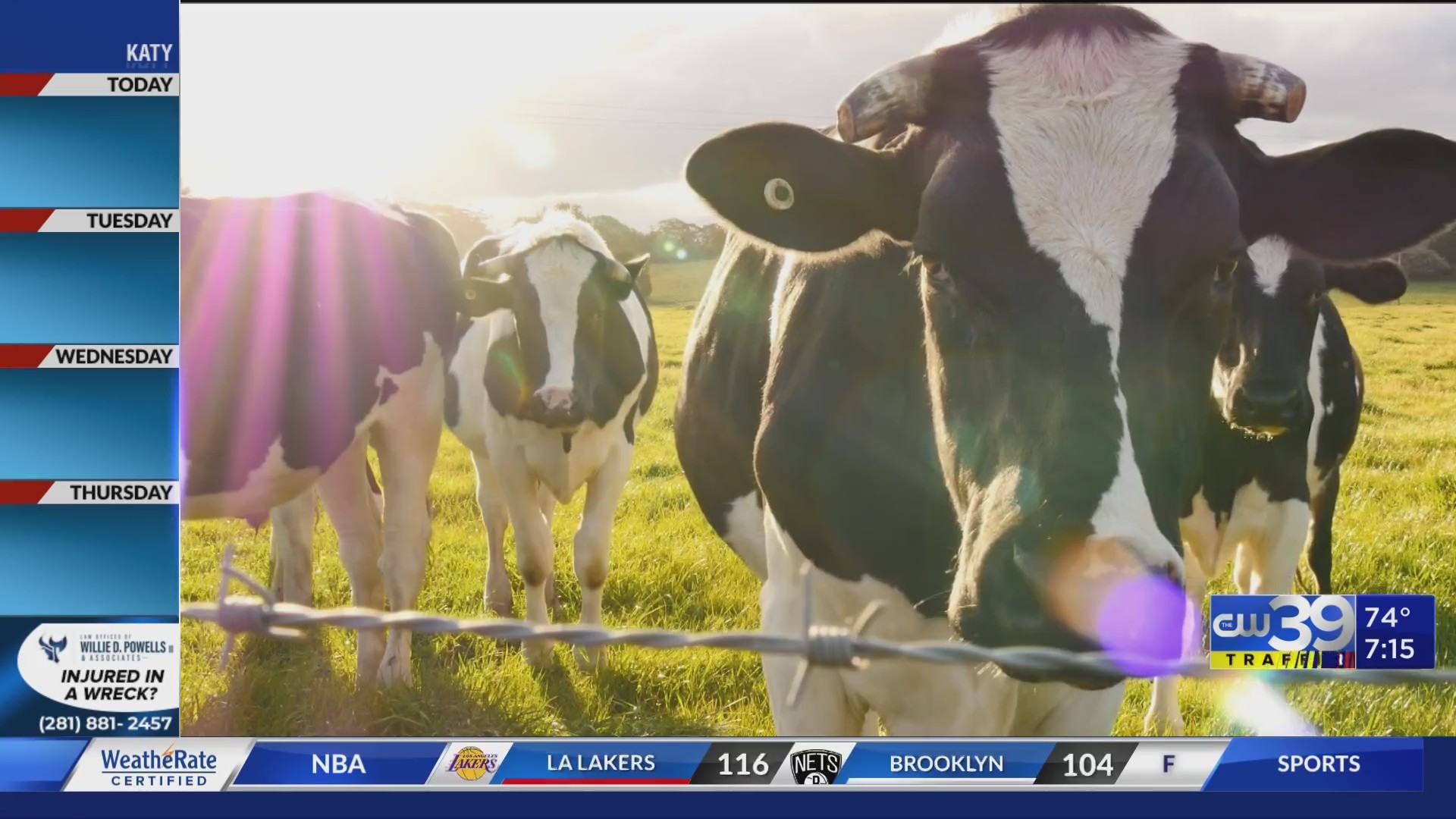 CW39 Dairy Cows and bird flu plus Toyota Electric Vehicles in Ag and ...