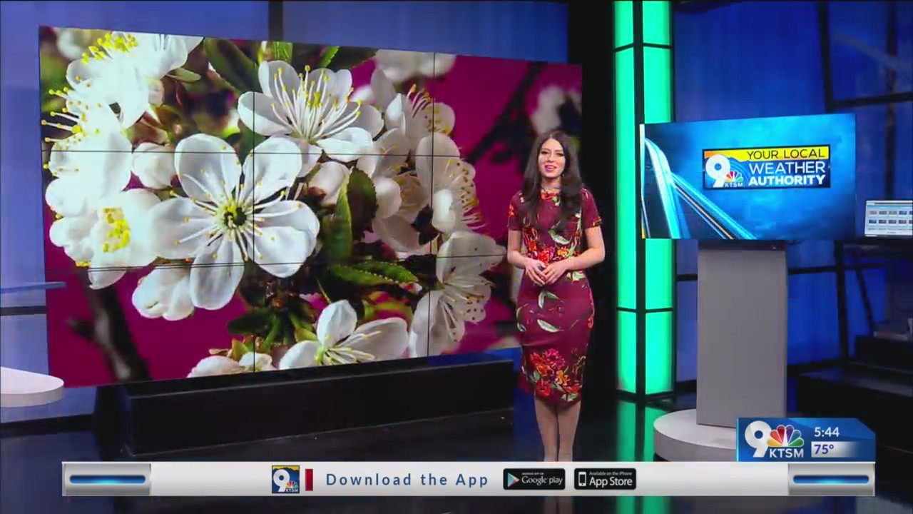 Friday Forecast: Hot day ahead with gusty conditions – KTSM 9 News