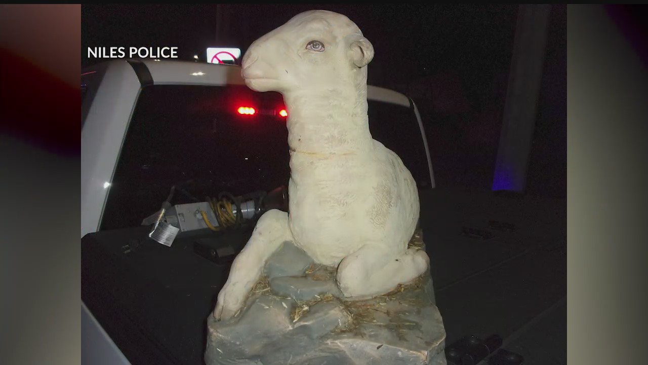 Tanner Caldwell, Nathan Crouse, and Madeline Dillon receive sentence ...