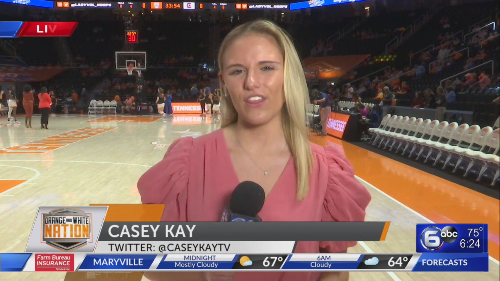 Lady Vols up against South Carolina’s strong board play – WATE 6 On ...