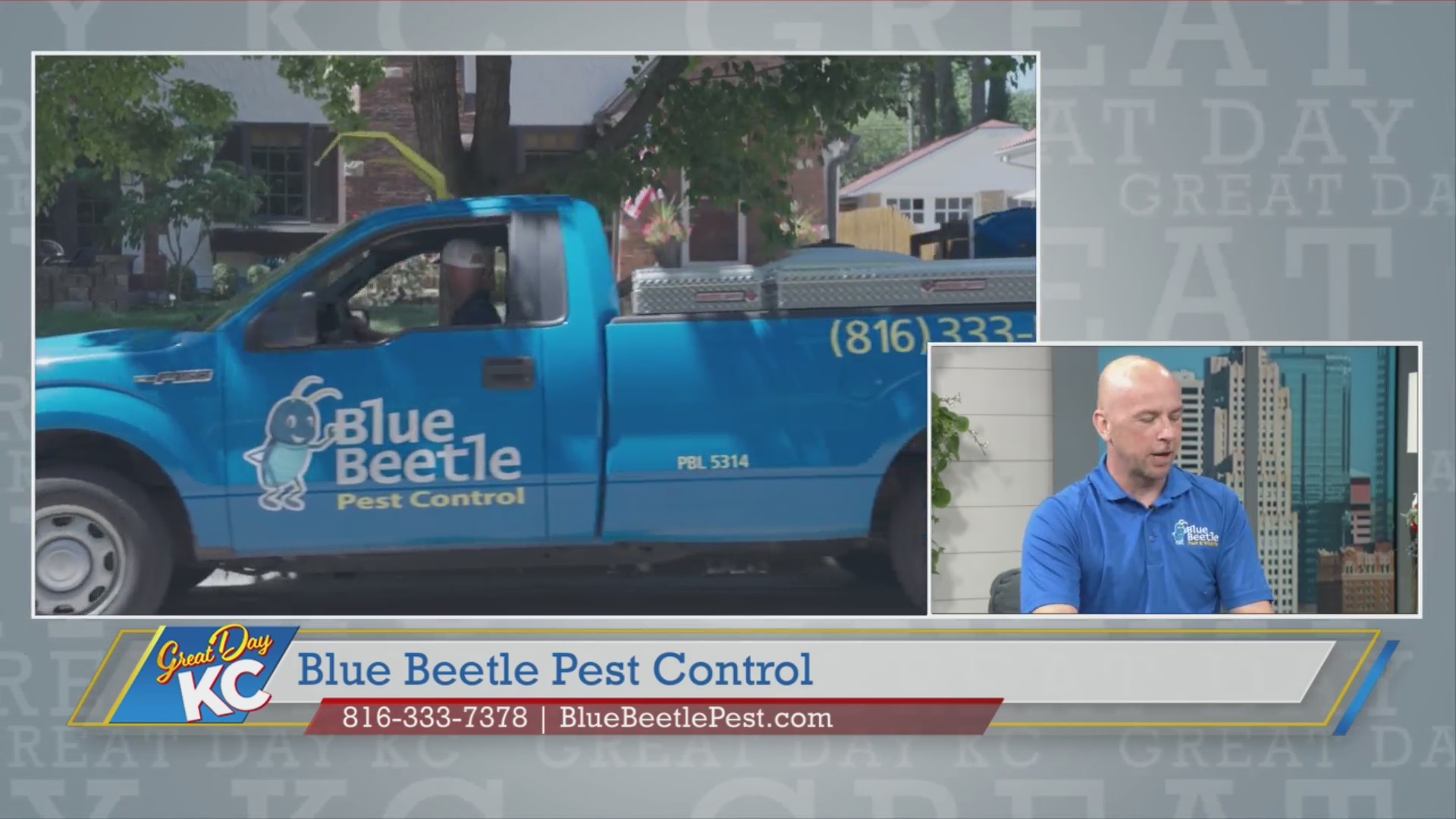 Protect Your Home From Spiders With Blue Beetle Pest Control – FOX 4 ...