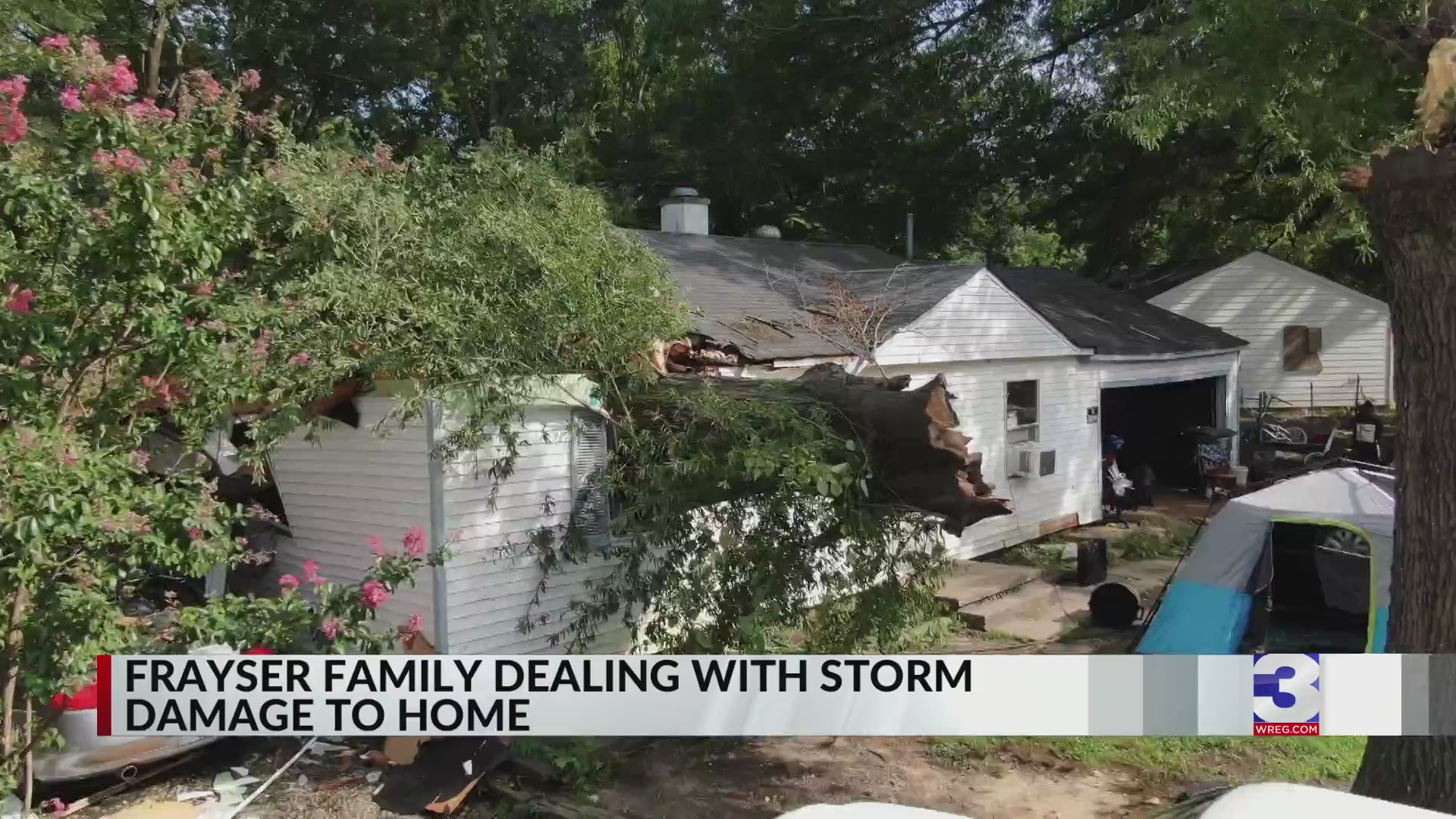 Memphis family without a home after tree falls during storm – WREG.com