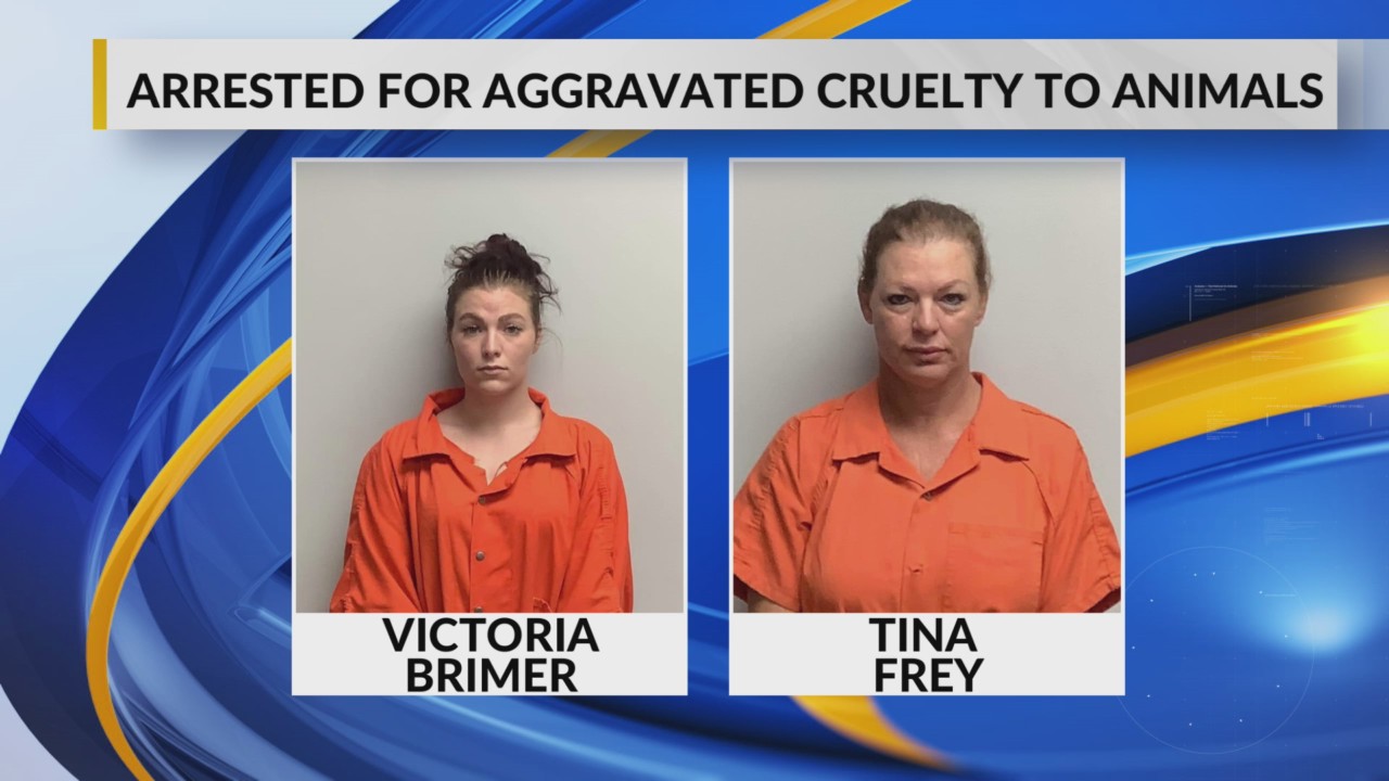 Two women arrested for aggravated cruelty to animals – KLFY.com
