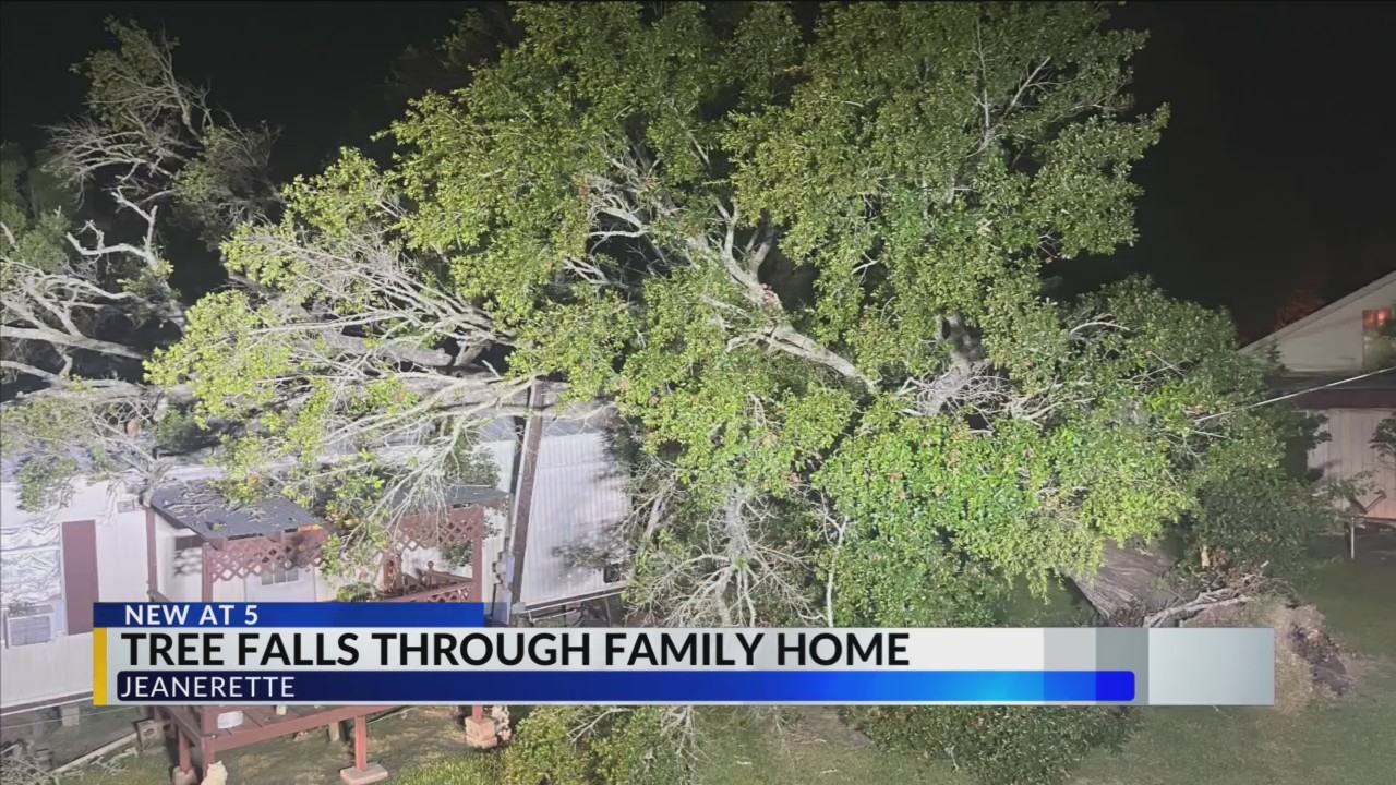 Tree falls through family home – KLFY.com