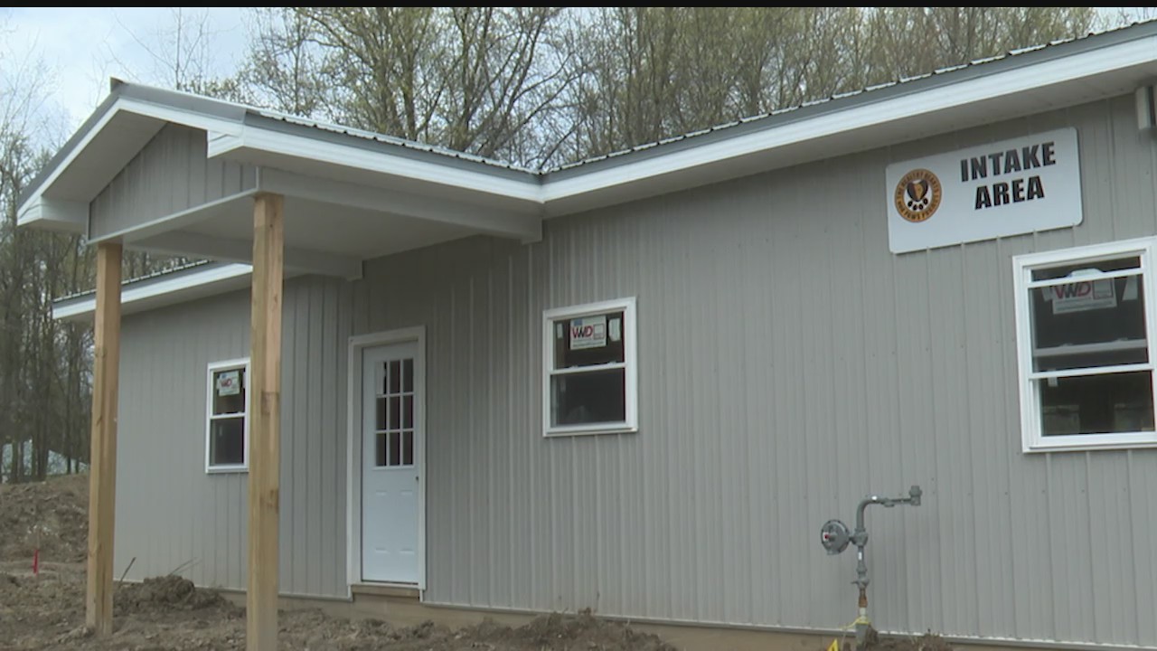 Animal rescue’s new Warren facility means more room to help – WKBN.com