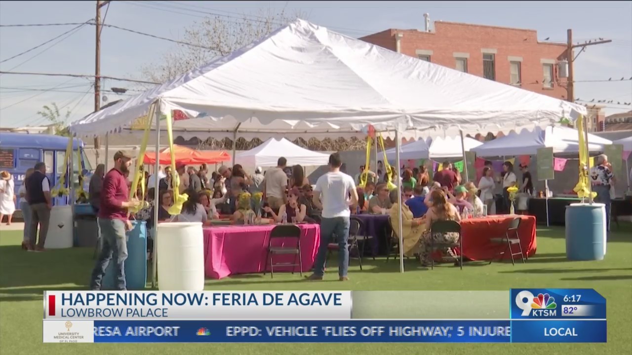 Feria de Agave festival features more than 40 agave spirits – KTSM 9 News