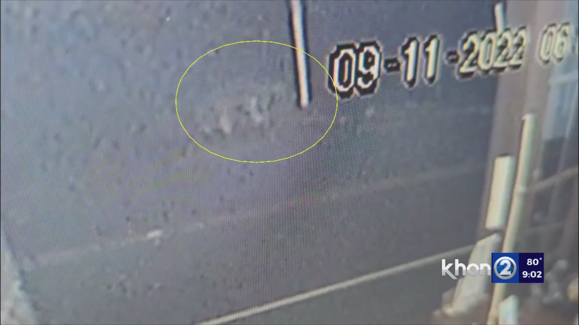 Security footage shows apparent Big Island wildcat – KHON2