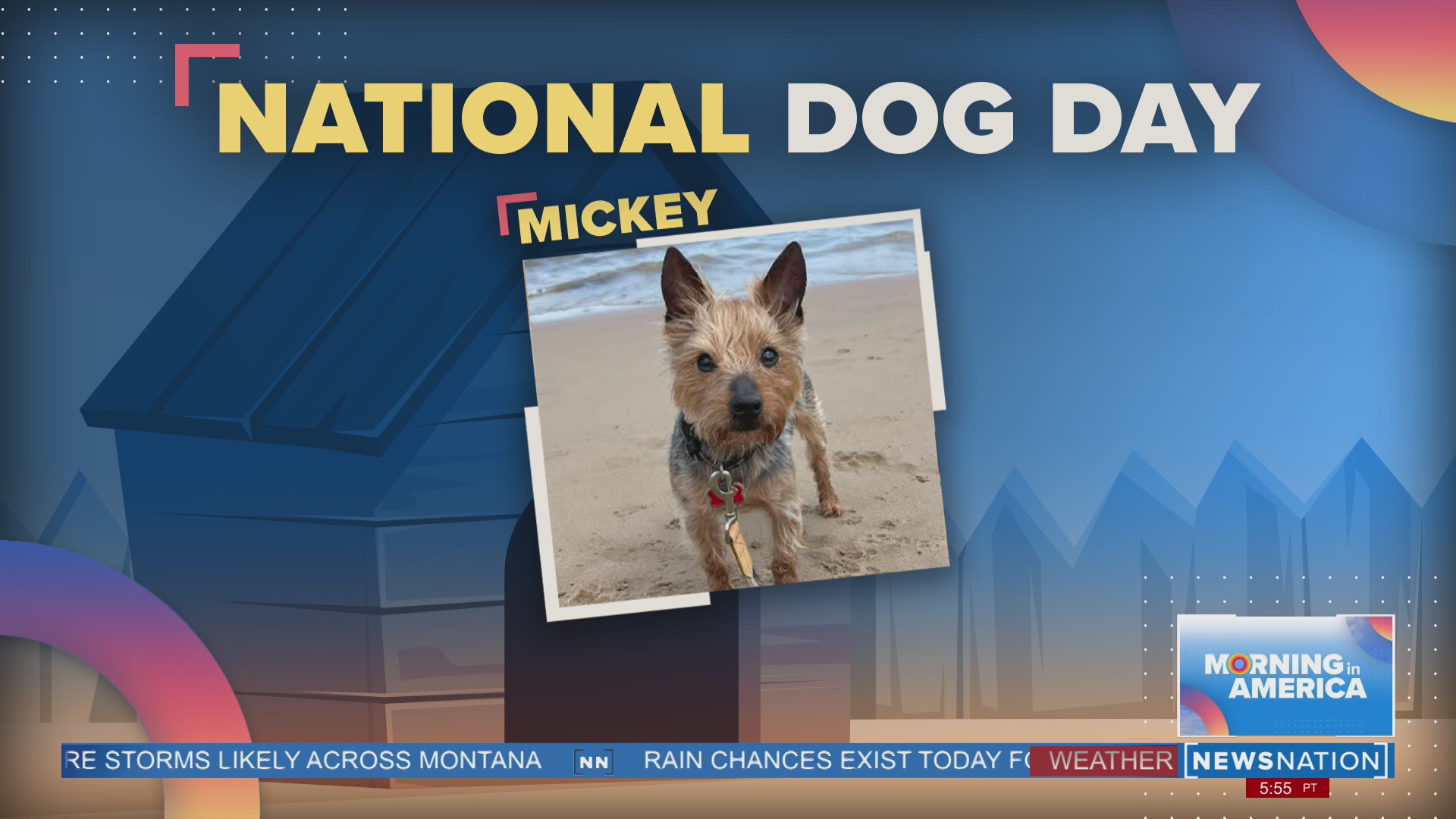 National Dog Day | Morning in America – NewsNation