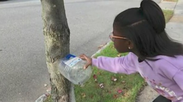 A mother fights neighbor against racism | CUOMO – NewsNation