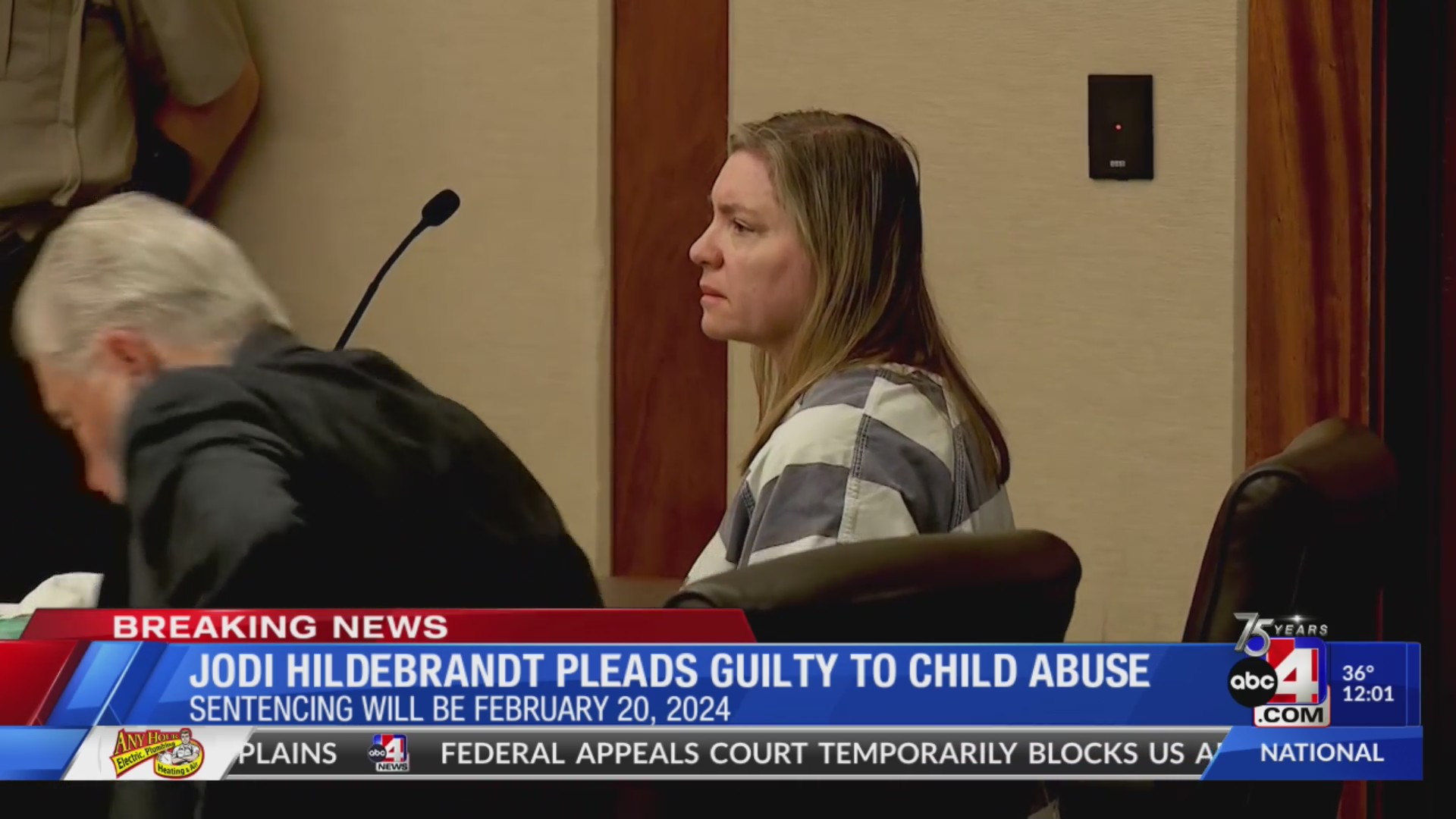 Jodi Hildebrandt joins Ruby Franke in pleading guilty on child abuse charges – ABC4 Utah