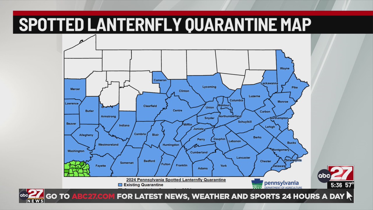 Pennsylvania expands Spotted Lanternfly quarantine – PAhomepage.com