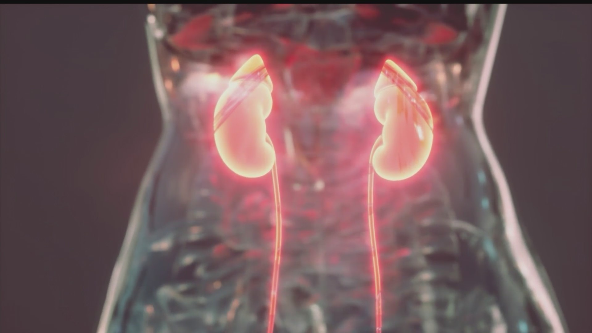 Len Rome’s Local Health: Too much salt – WYTV