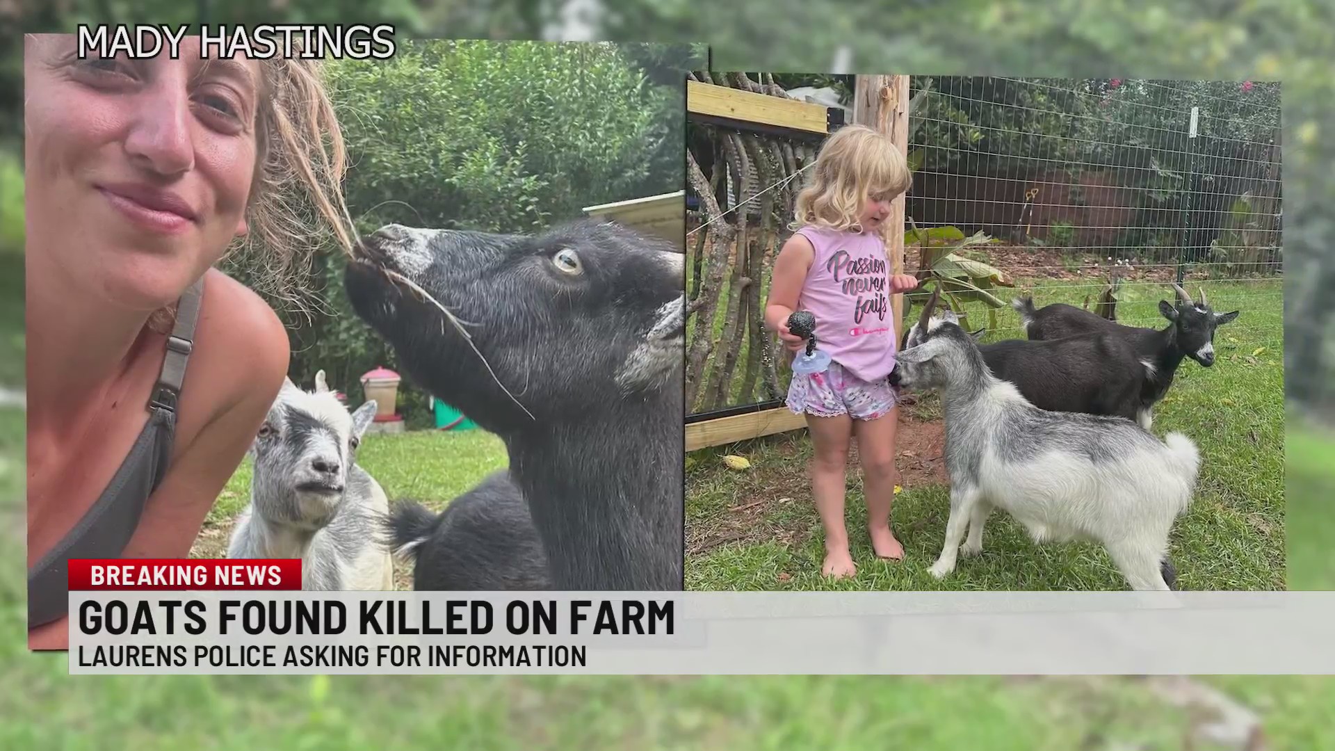 Upstate police department asking community for information after three ...