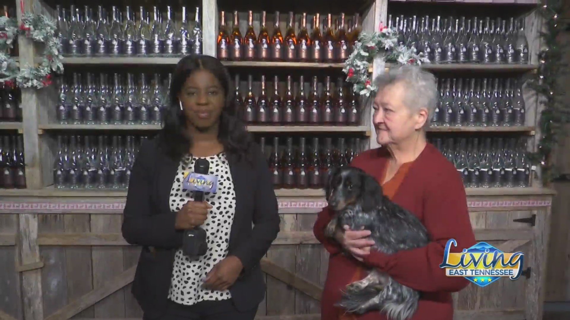Veronica LIVE Ole Smoky – WATE 6 On Your Side