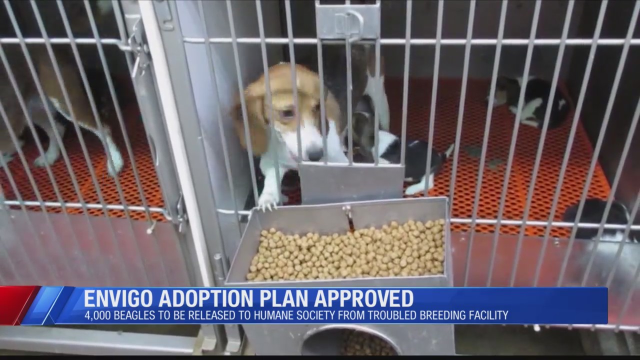 Lynchburg federal judge approves transfer of Virginia breeding facility ...
