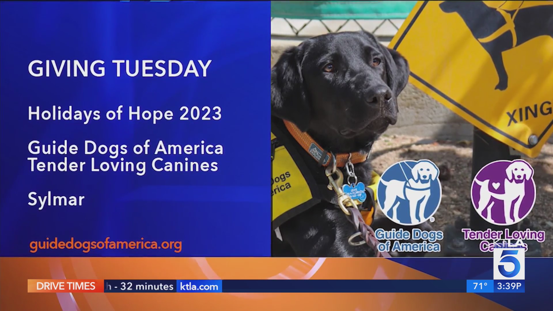 Giving Tuesday: Guide Dogs of America / Tender Loving Canines – KTLA