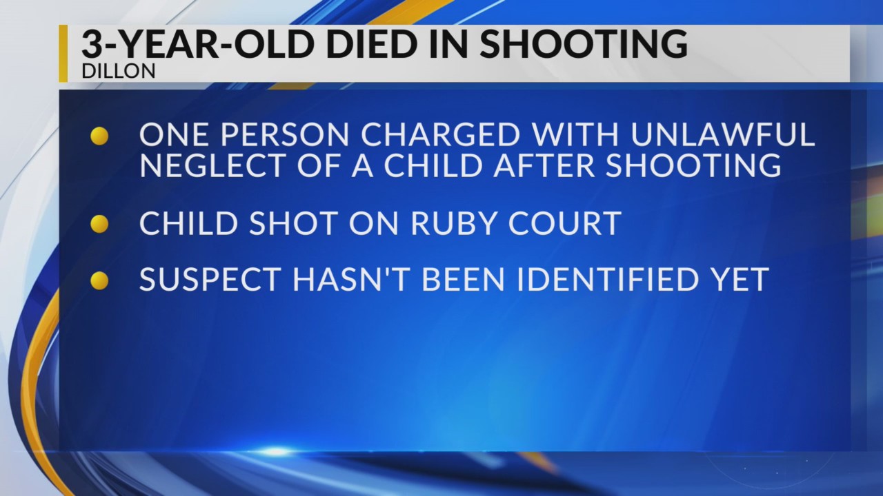3-year-old shot and killed in Dillon; person charged with neglect – WBTW