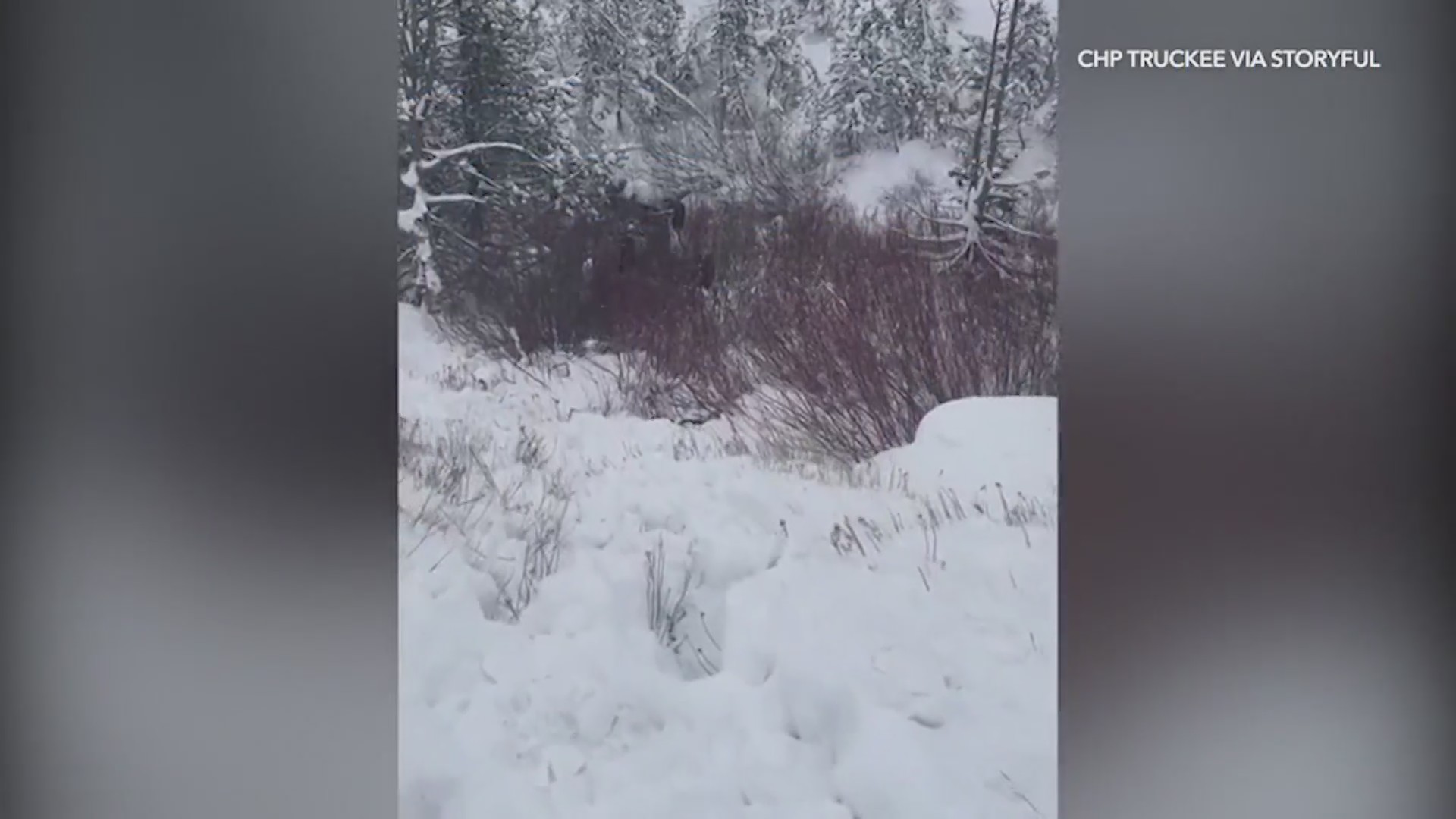 Live VIPIR 6 Forecast Thursday, January 4, 2024 – WJBF