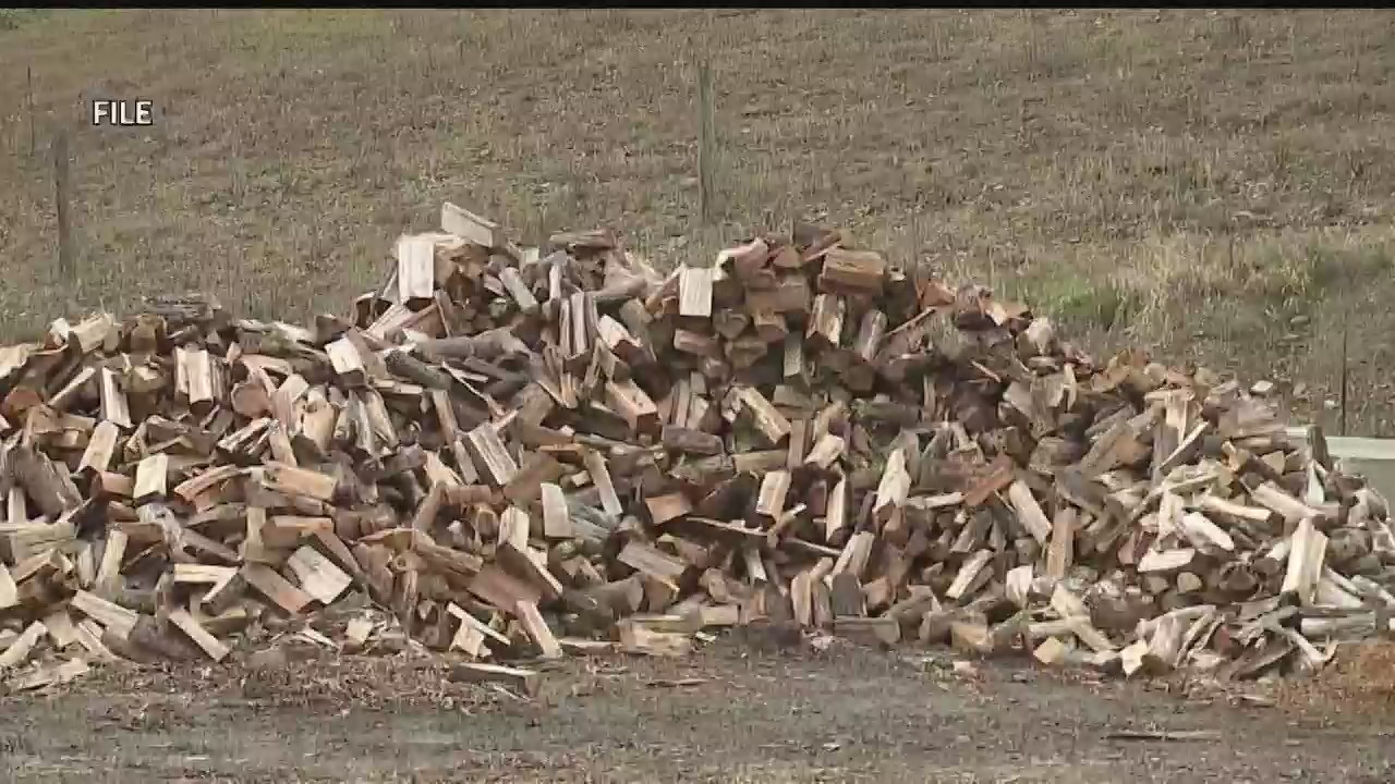 Don’t bring firewood to campsites: Here’s why – WKBN.com