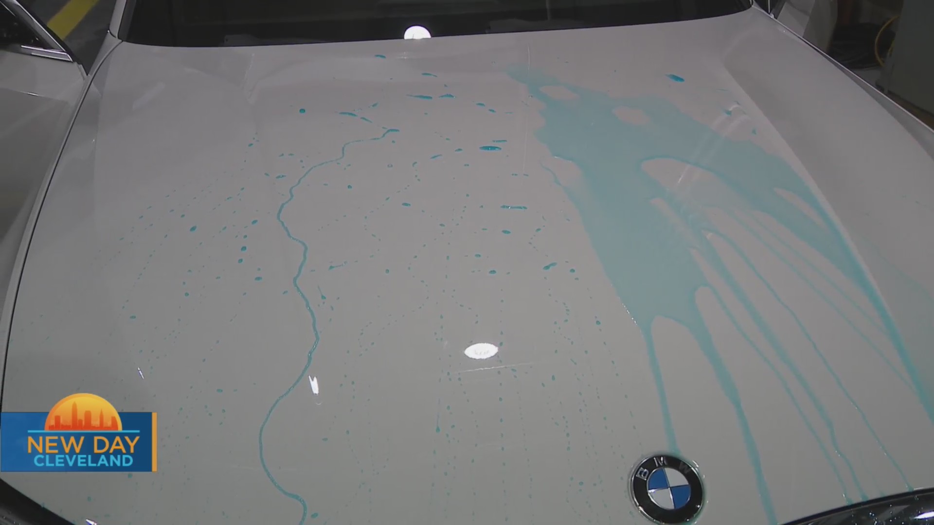 New Day Cleveland: 2b Clean Auto Detailing – Fox 8 Cleveland WJW